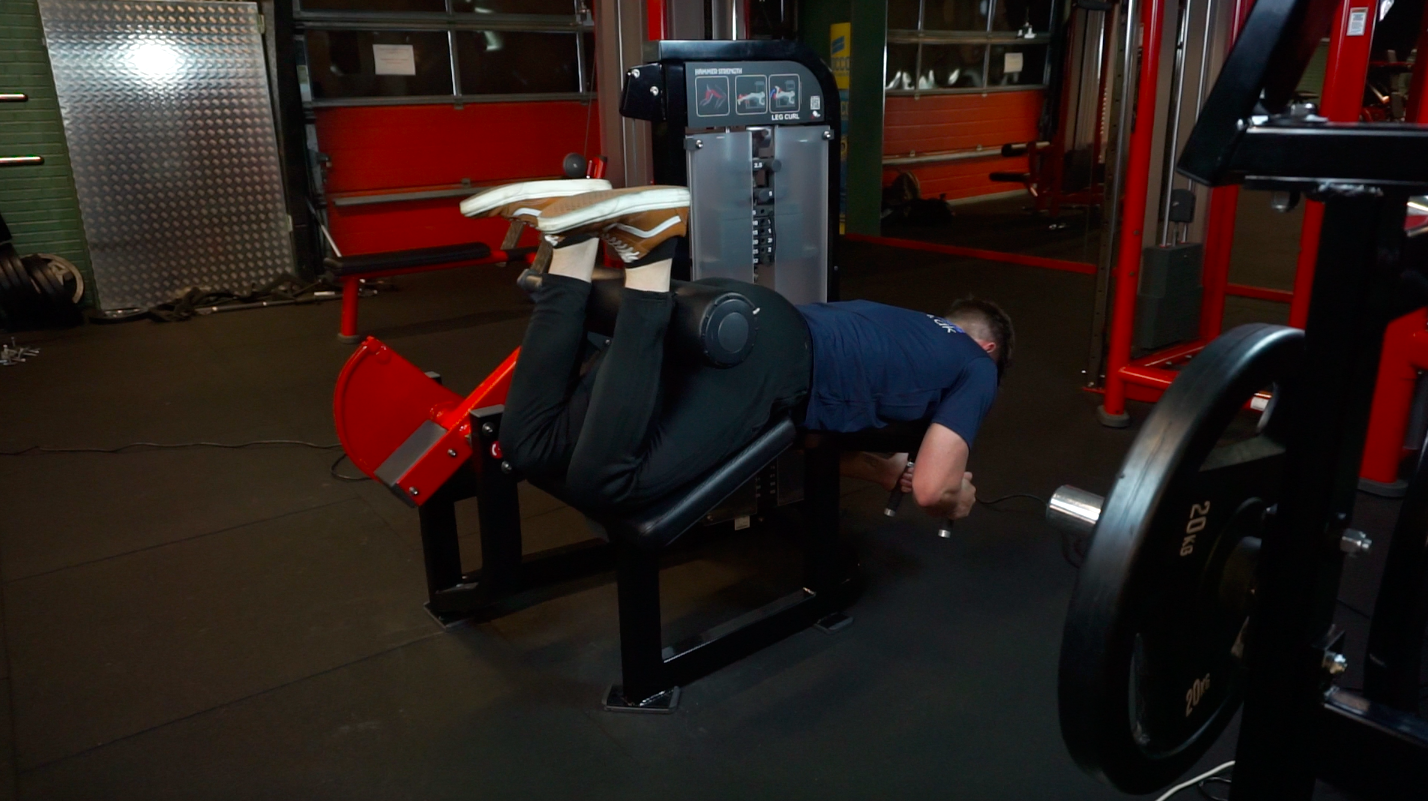 Lying Leg Curl - FitnessBasen