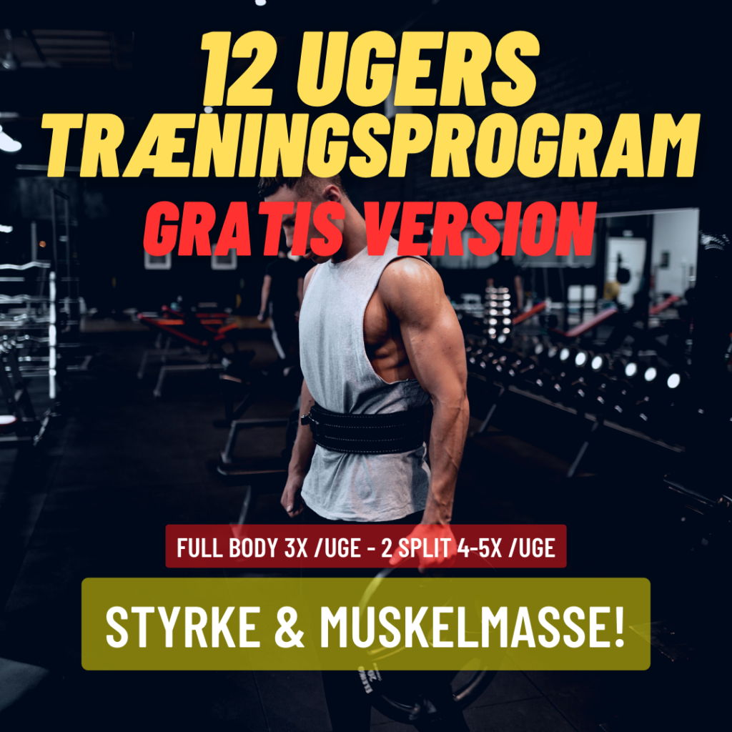 STYRKE & MUSKELMASSE - Gratis Version - FitnessBasen